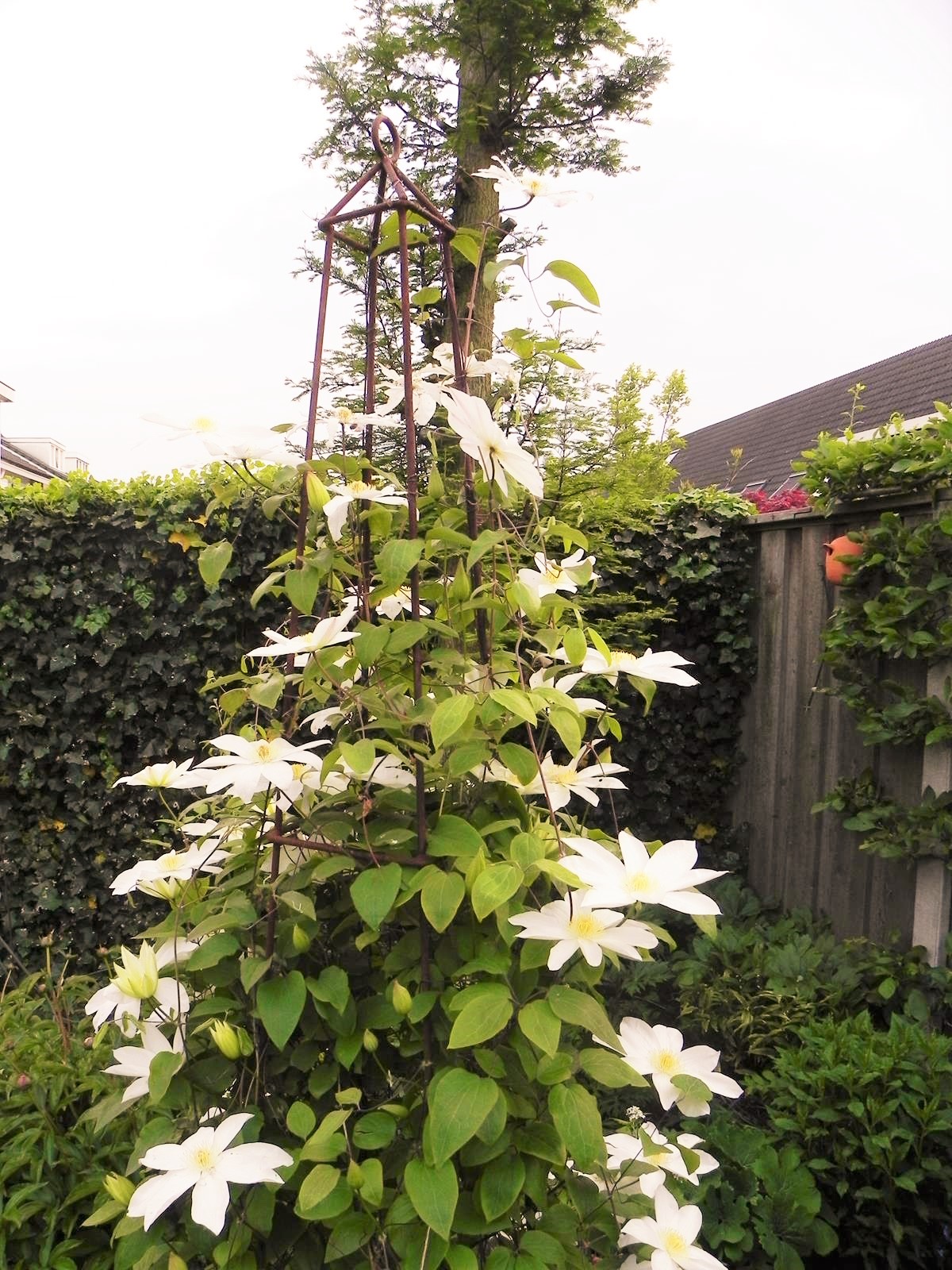 Obelisk klimornament – De Tuinfee